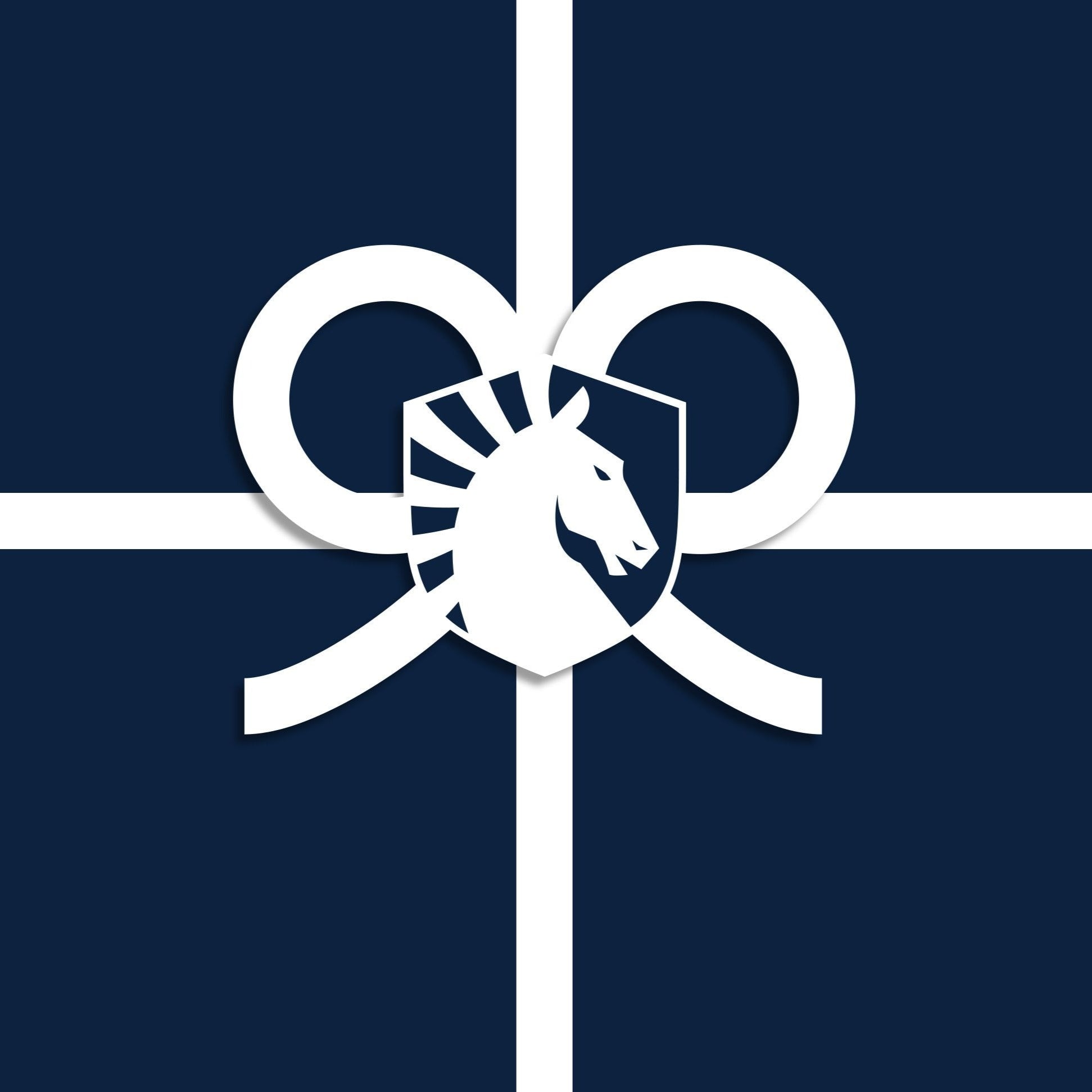 Vale presente – Team Liquid Brazil